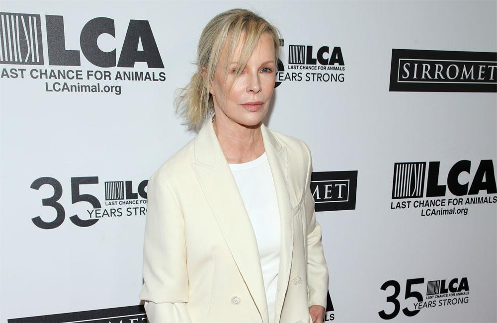 Kim Basinger - das Starportrait